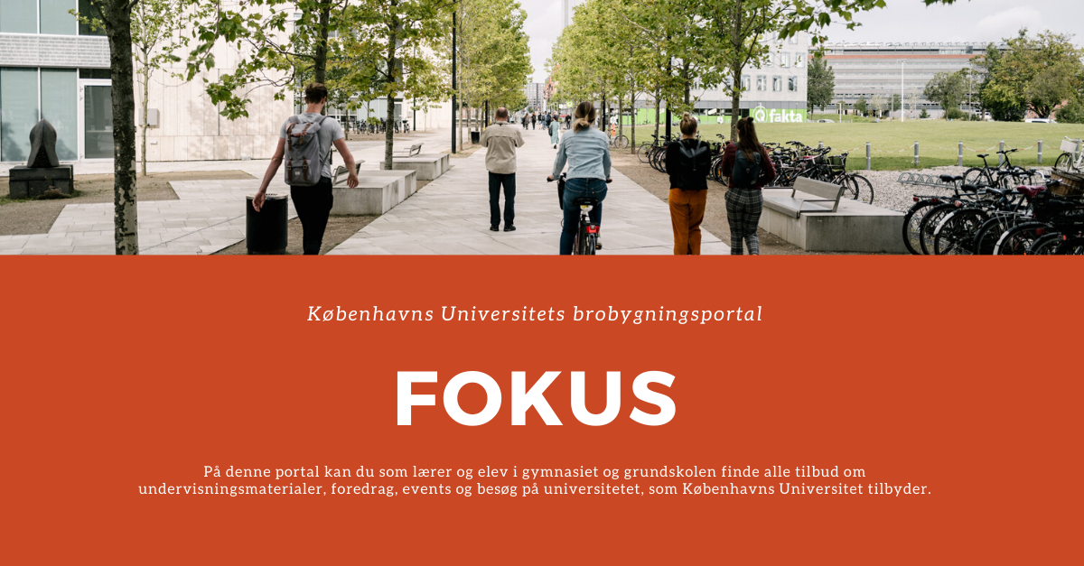 SRP i matematik og biologi om epidemimodeller - fokus.ku.dk